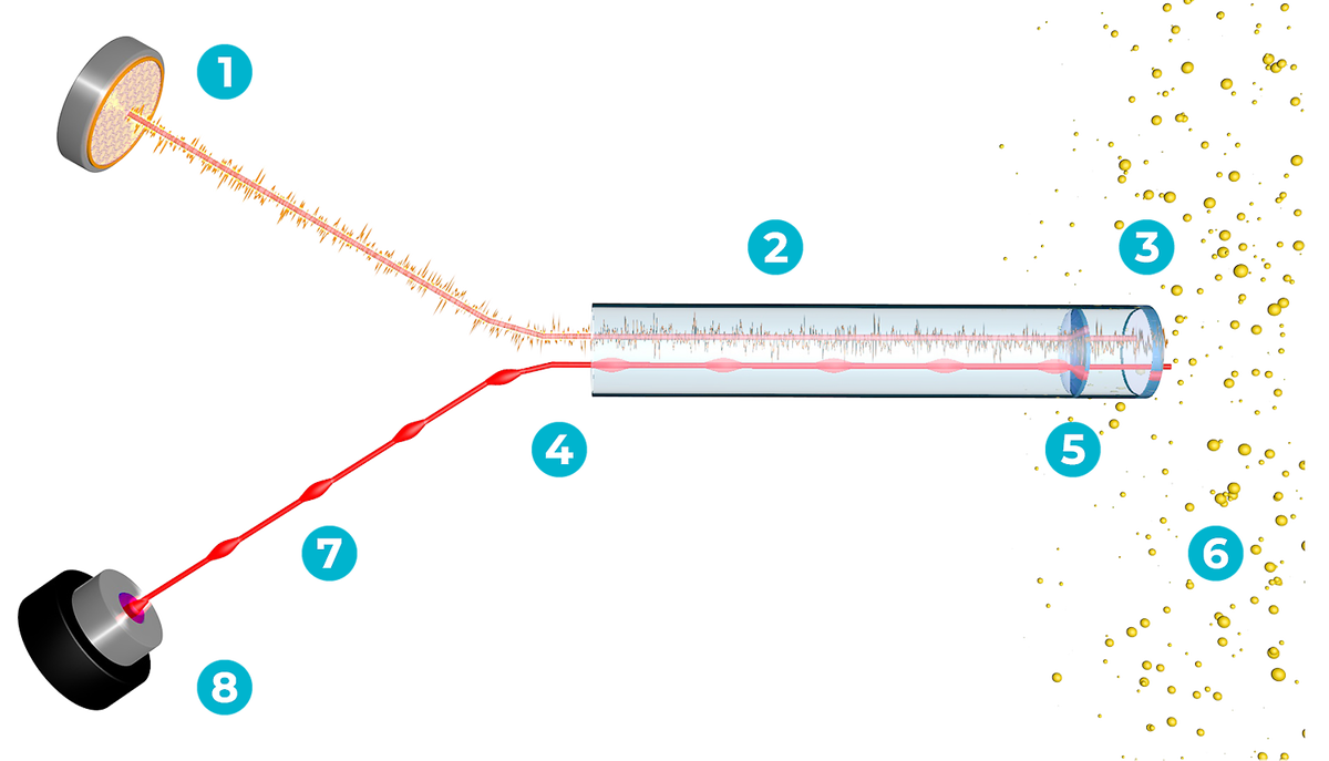 How Does Dynamic Light Scattering Work At Ryan Henderson Blog How Does Dynamic Light Scattering Work At Ryan Henderson Blog
